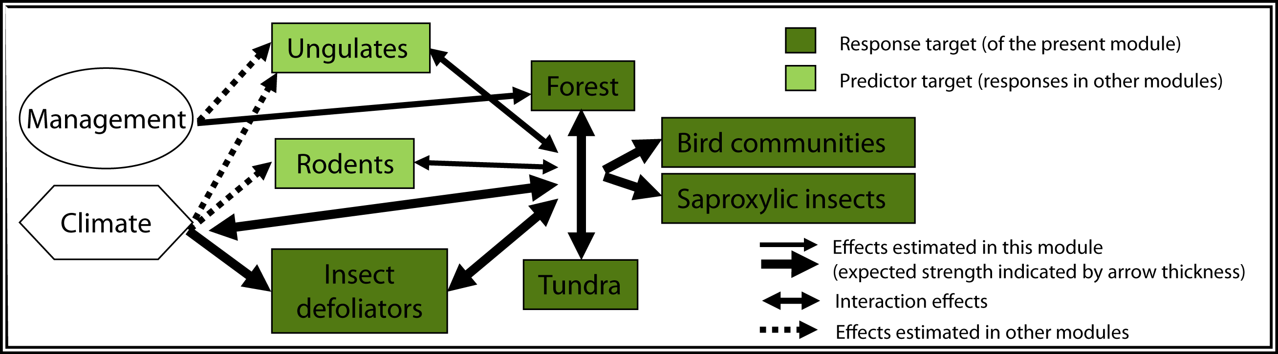 Coat Modules Tundra Forest Ecotone Module